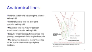 Thorax Chapter 5 Thoracic wall I.power point ptx | PPTX