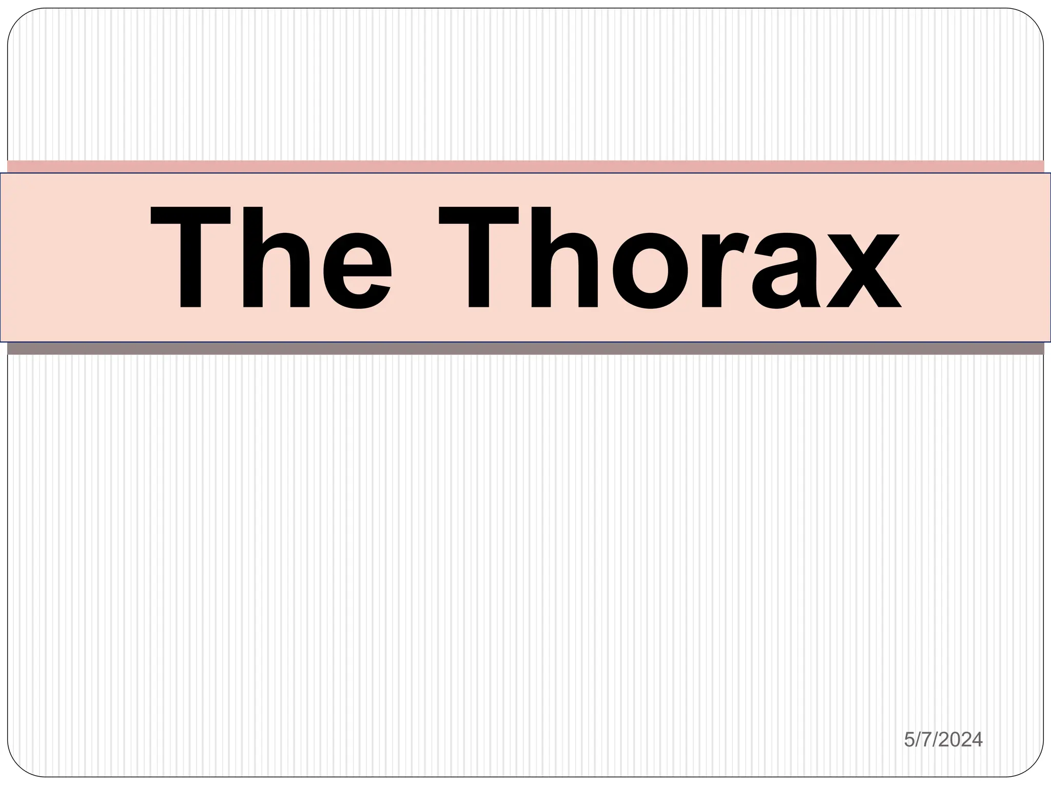 The thorax plays a crucial role in respiration and protecting internal ...