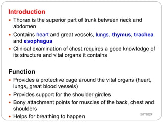 The thorax plays a crucial role in respiration and protecting internal ...