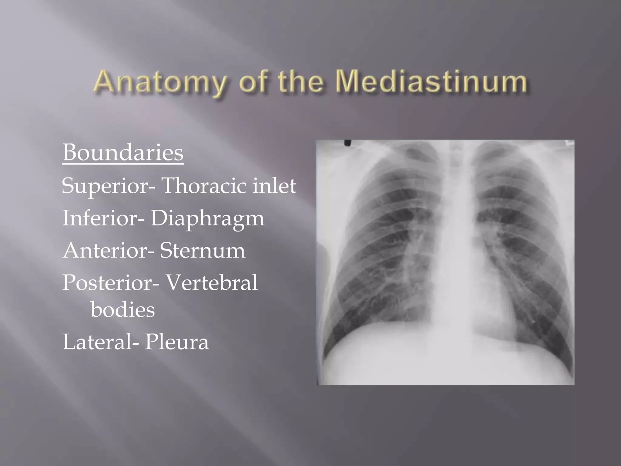 Thorax, heart, pericardium | PPT