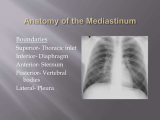 Thorax, heart, pericardium | PPTX