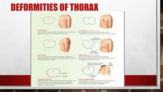 Thorax & lungs examination | PPT