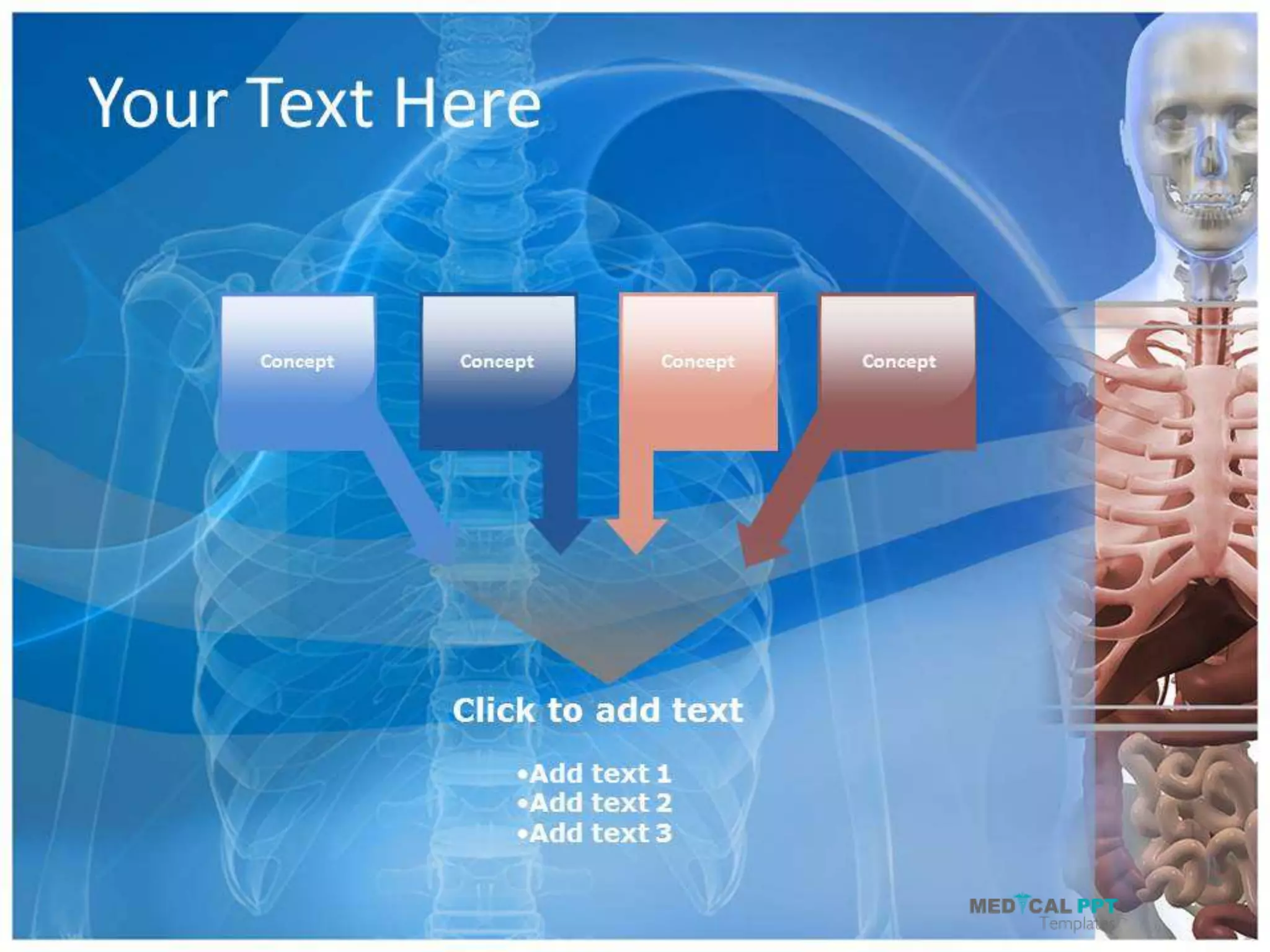 Thorax PowerPoint Template - medicalppttemplates.com