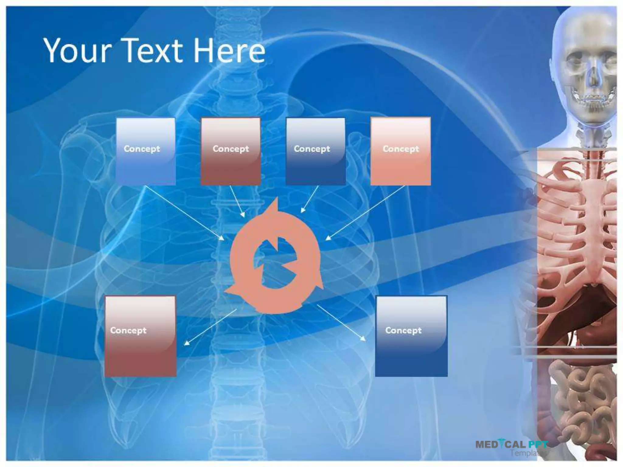 Thorax PowerPoint Template - medicalppttemplates.com