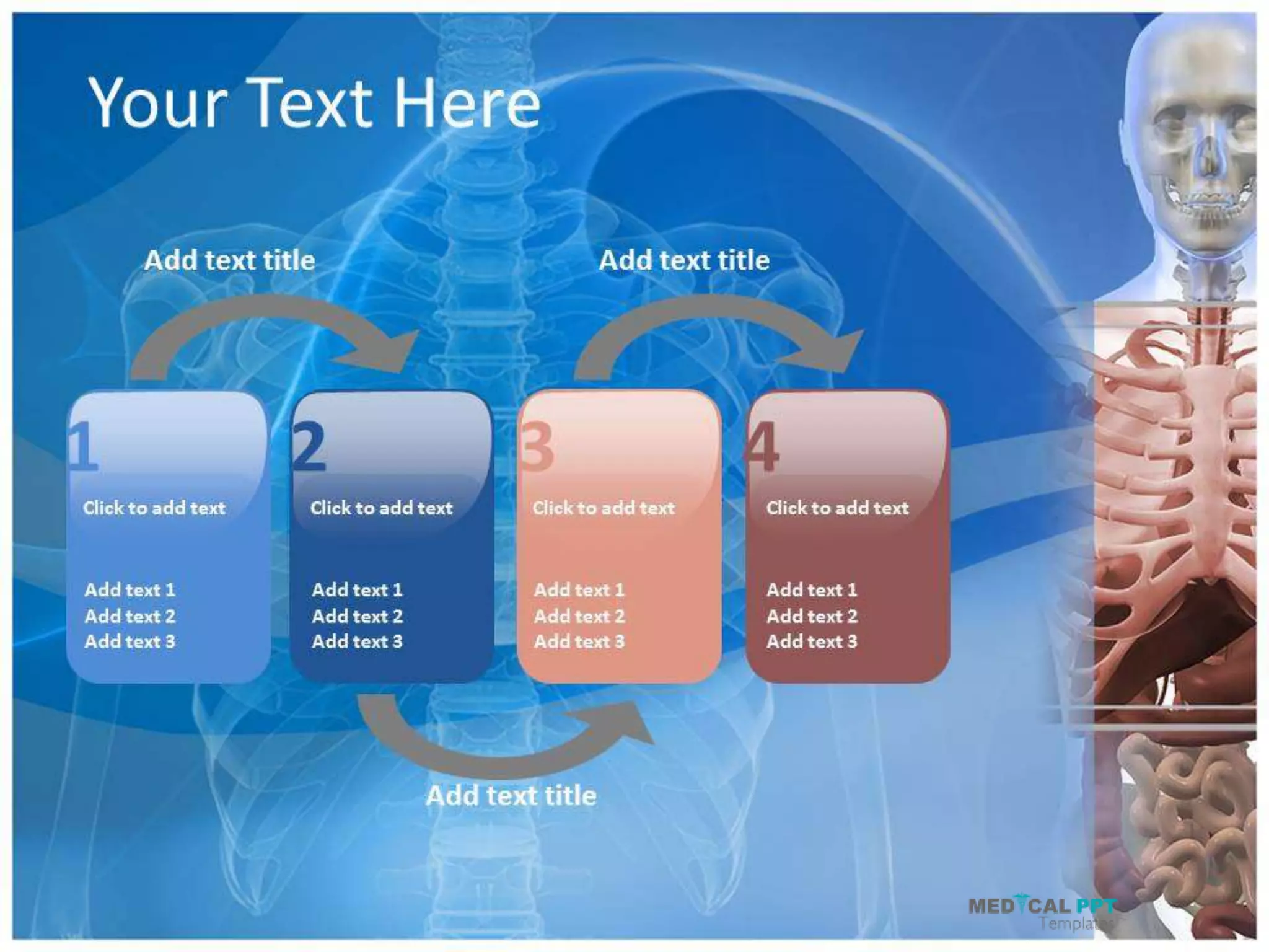 Thorax PowerPoint Template - medicalppttemplates.com