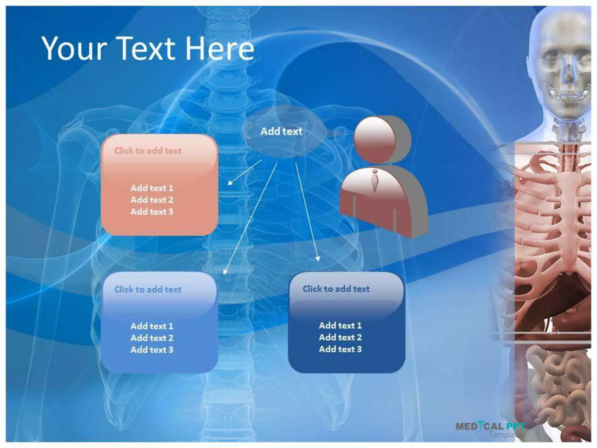 Thorax PowerPoint Template - medicalppttemplates.com