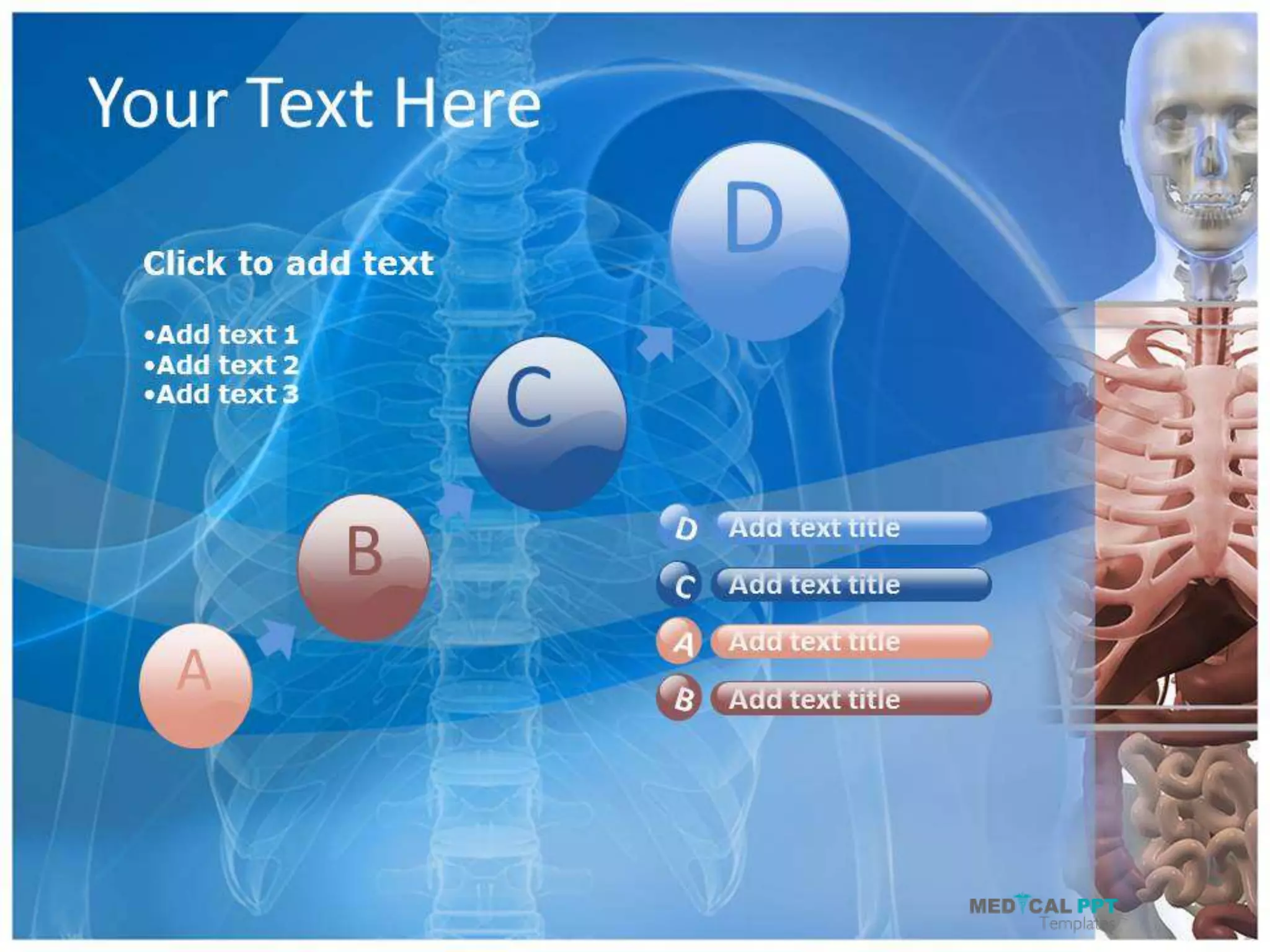 Thorax PowerPoint Template - medicalppttemplates.com