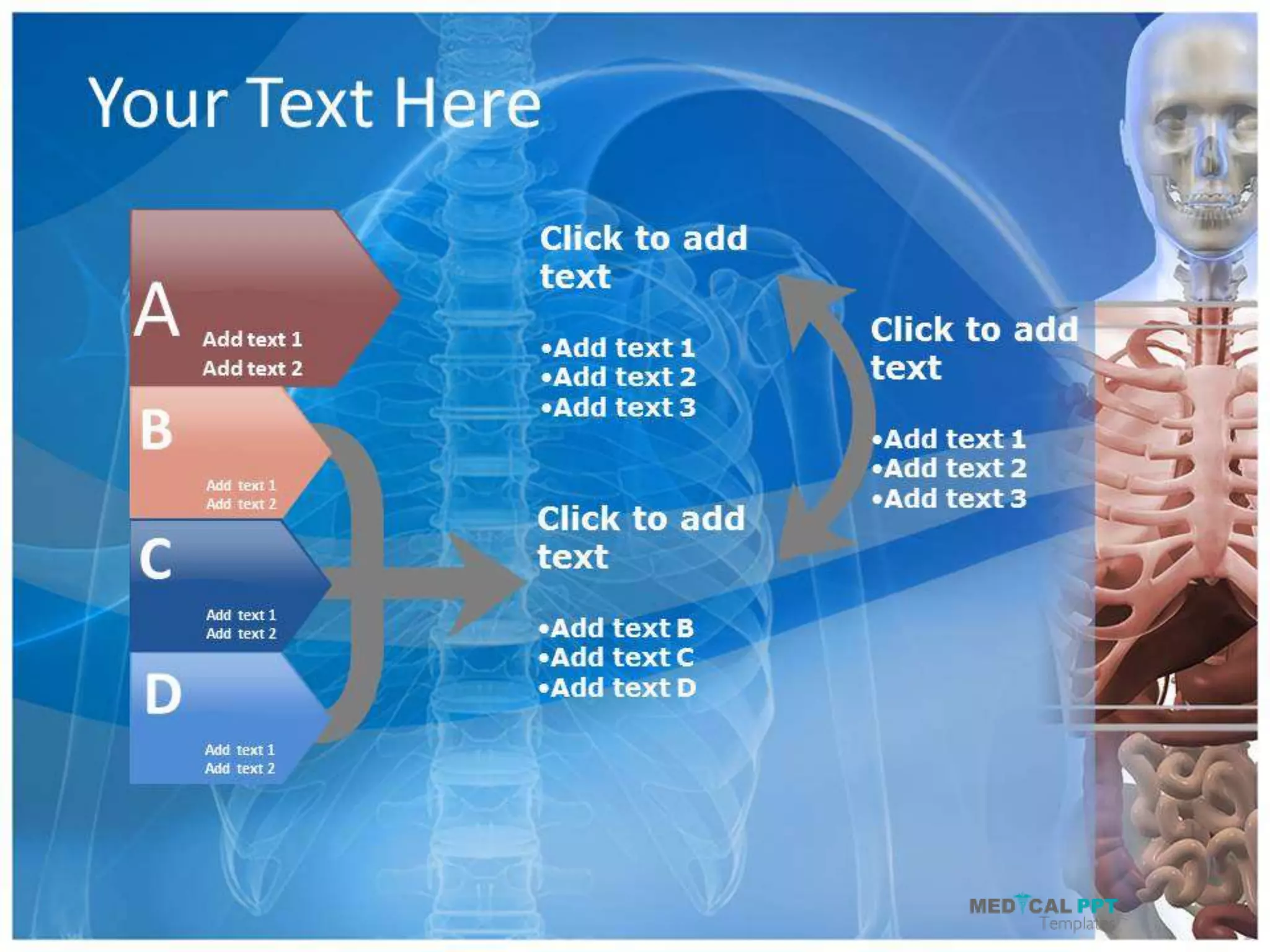 Thorax PowerPoint Template - medicalppttemplates.com