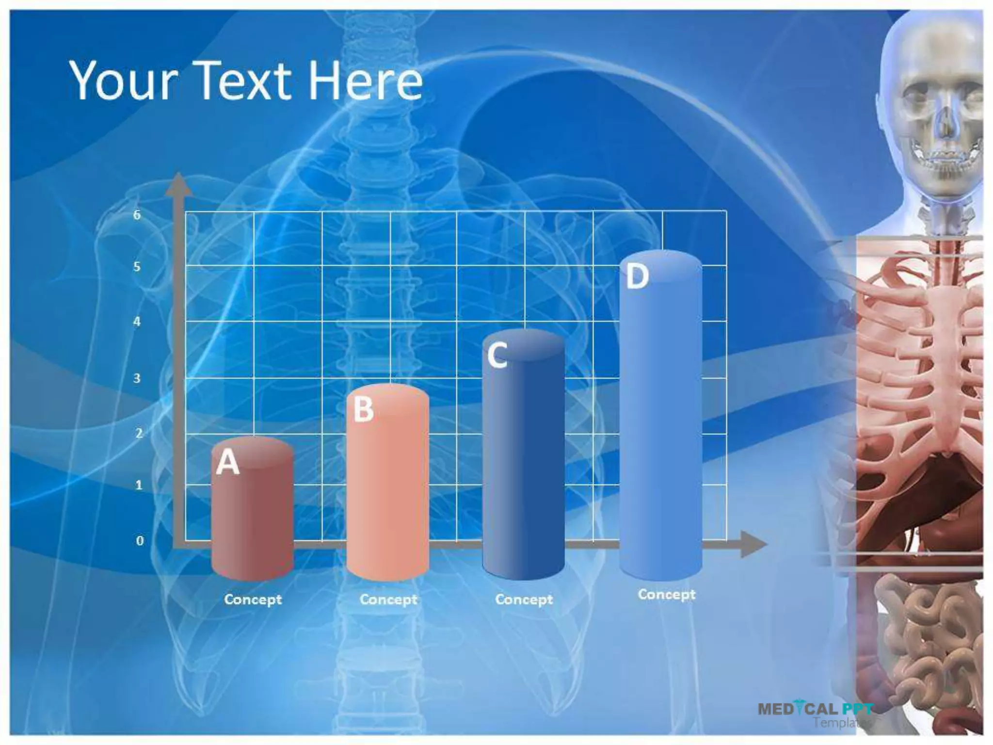 Thorax PowerPoint Template - medicalppttemplates.com
