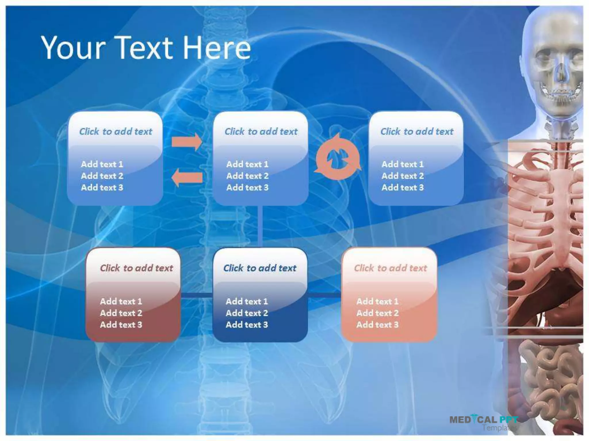 Thorax PowerPoint Template - medicalppttemplates.com
