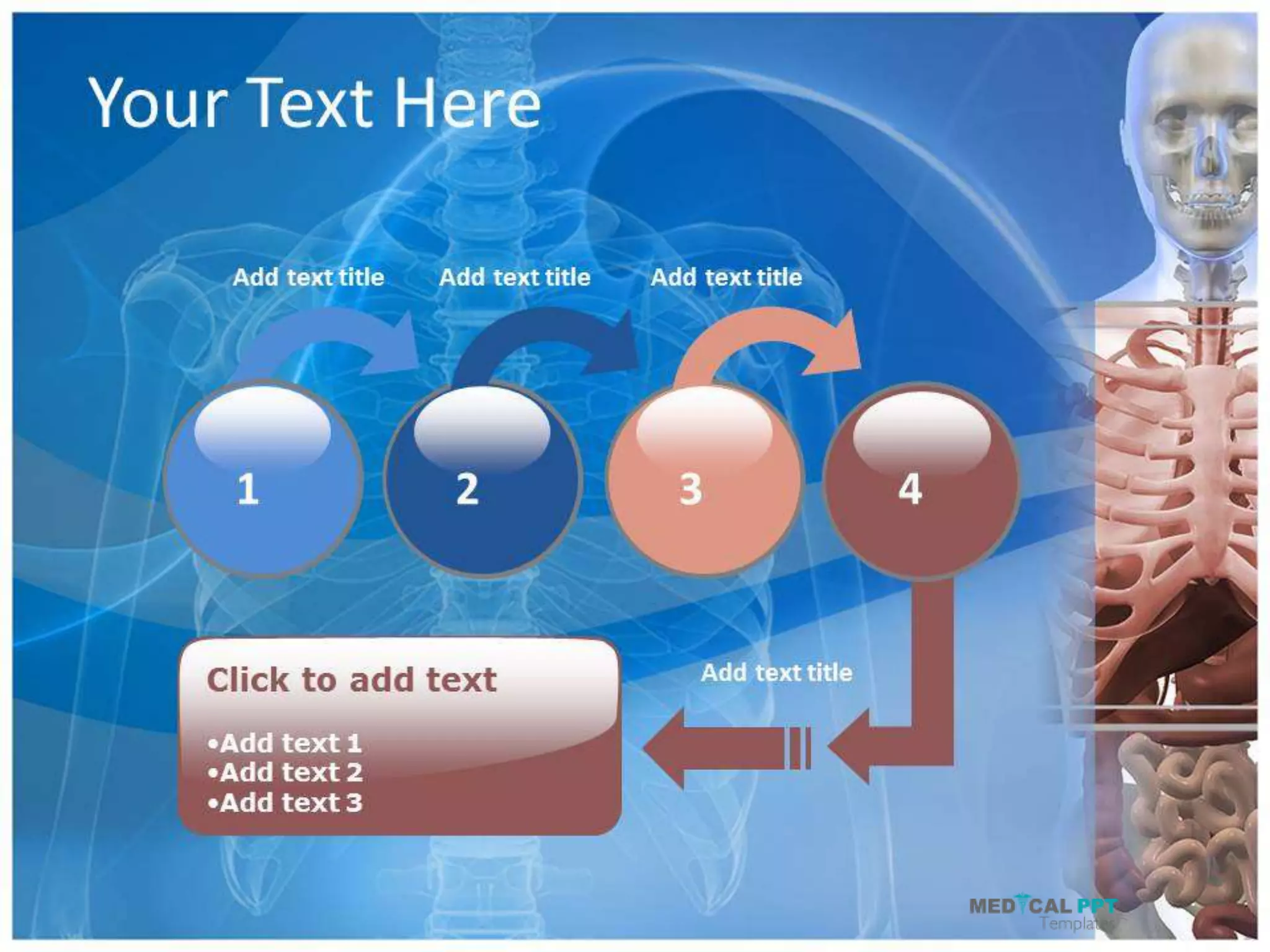 Thorax PowerPoint Template - medicalppttemplates.com