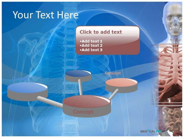 Thorax PowerPoint Template - medicalppttemplates.com