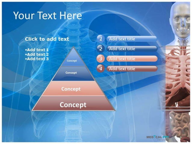 Thorax PowerPoint Template - medicalppttemplates.com