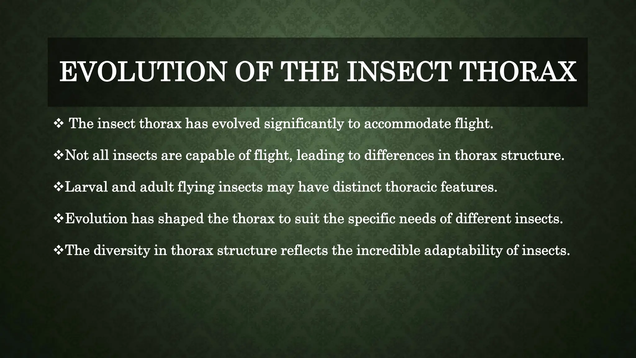 The Insect Thorax | PPTX
