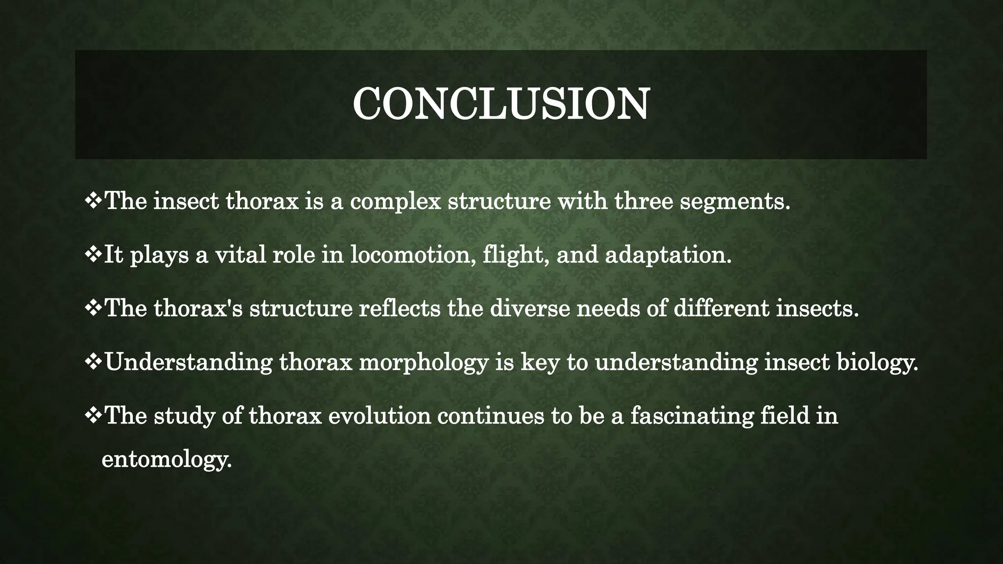 The Insect Thorax | PPTX