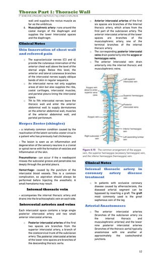 Thorax prt. 1.pdf