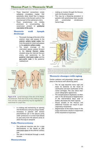 Thorax prt. 1.pdf