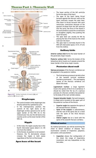 Thorax prt. 1.pdf