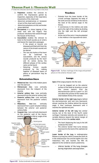 Thorax prt. 1.pdf