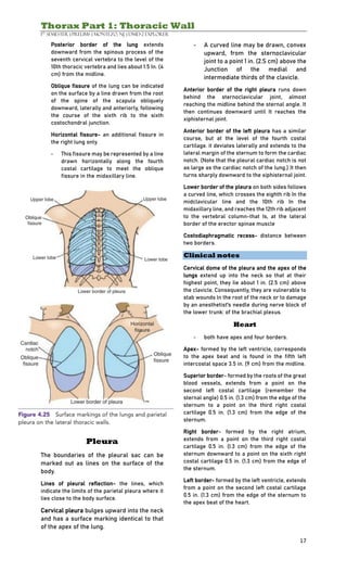 Thorax prt. 1.pdf