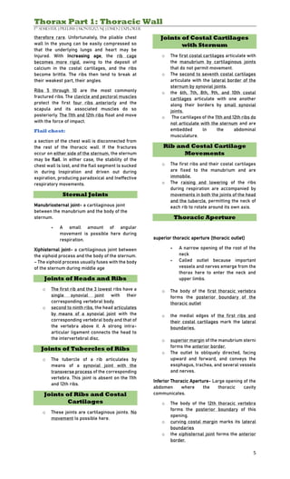 Thorax prt. 1.pdf