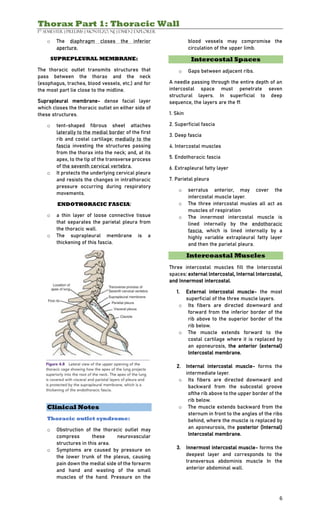 Thorax prt. 1.pdf