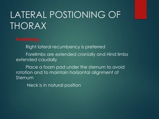 THORAX RADIOGRAPHIC INTERPRETATION CANINE | PPTX