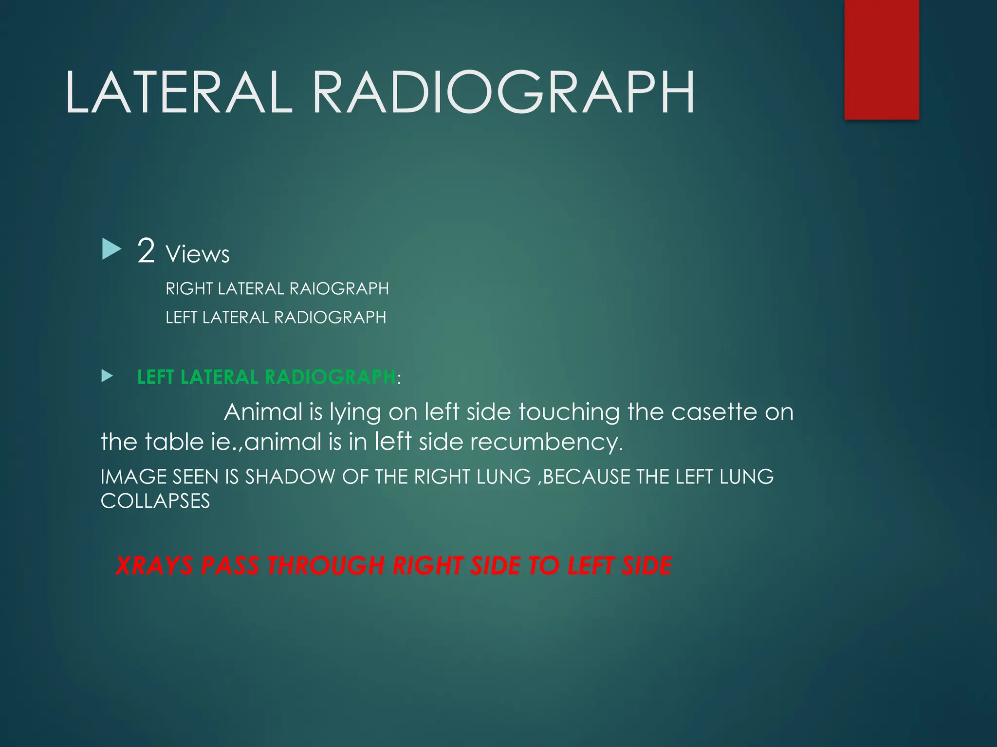 THORAX RADIOGRAPHIC TECHNIQUES INFORTHORAX XRAYMATION | PPT