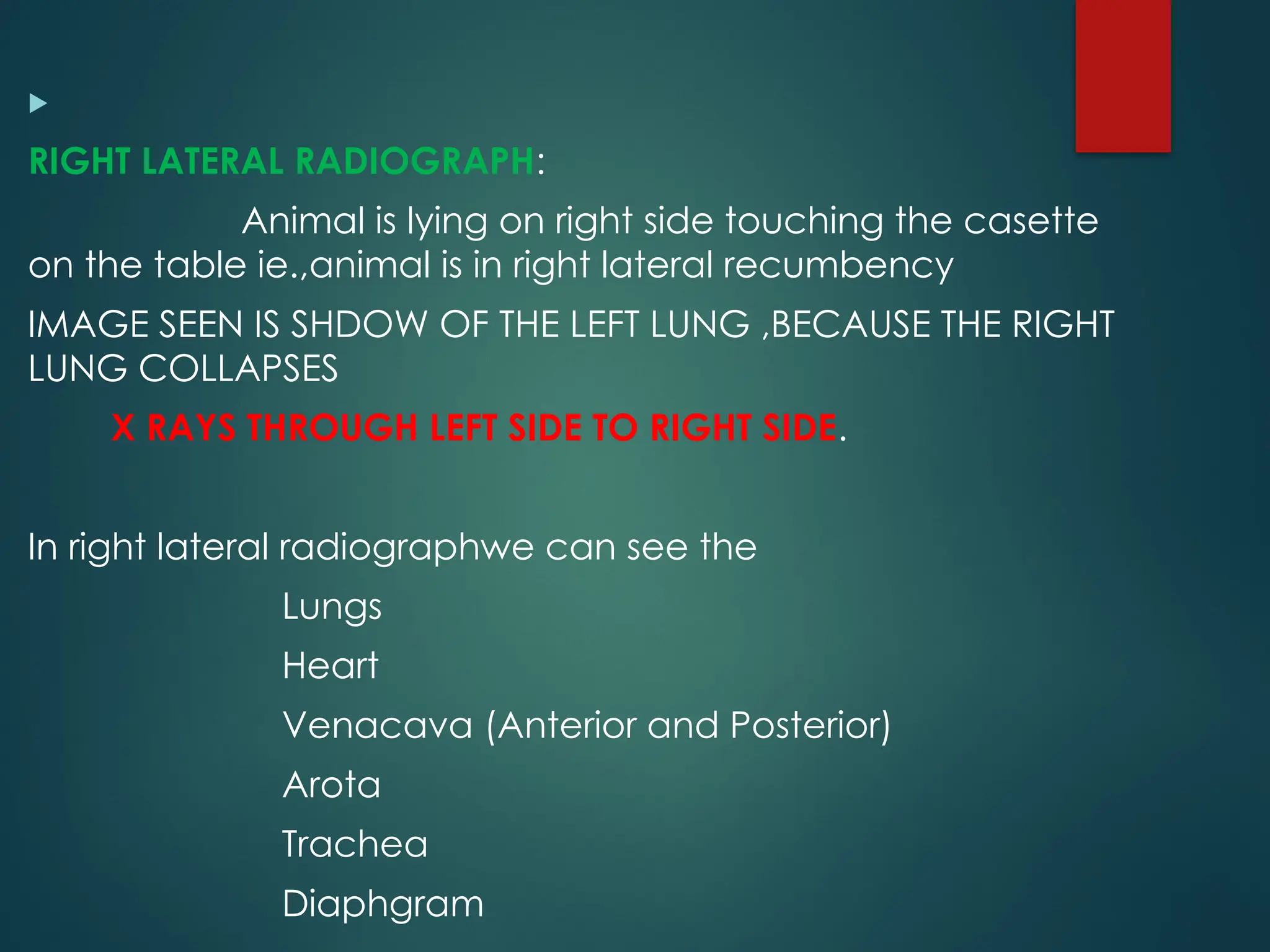 THORAX RADIOGRAPHIC TECHNIQUES INFORTHORAX XRAYMATION | PPT