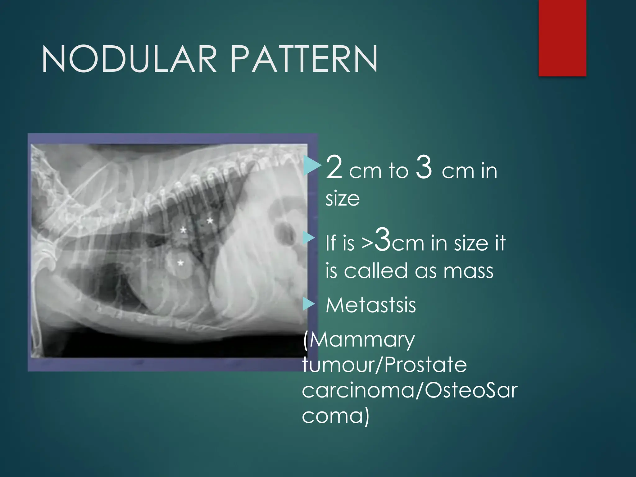 THORACIC RADIOGRAPH interpretation canine | PPTX