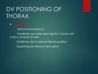 THORACIC RADIOGRAPH interpretation canine | PPTX