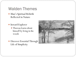 Thoreau | PPT