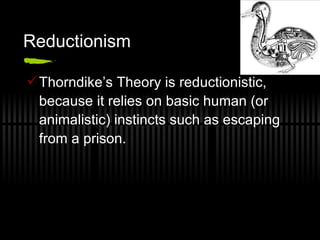 Thorndike General Overview | PPT