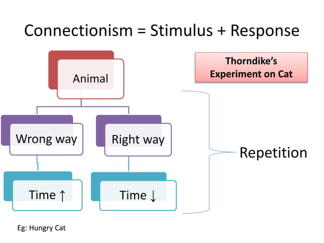 Thorndike's theory of learning SHMN | PPTX