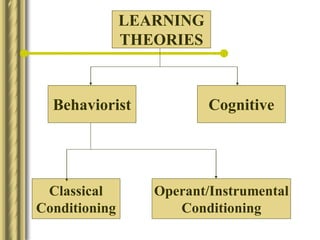 Thorndike Theory.pdf