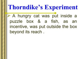 Thorndike Theory.pdf