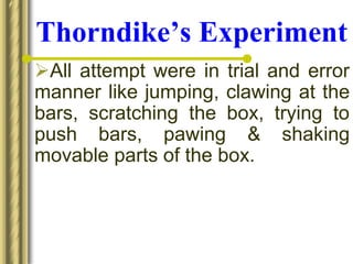 Thorndike Theory.pdf