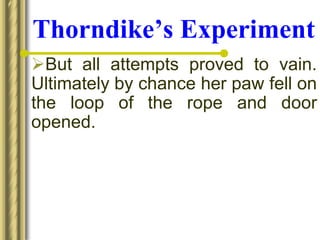 Thorndike Theory.pdf