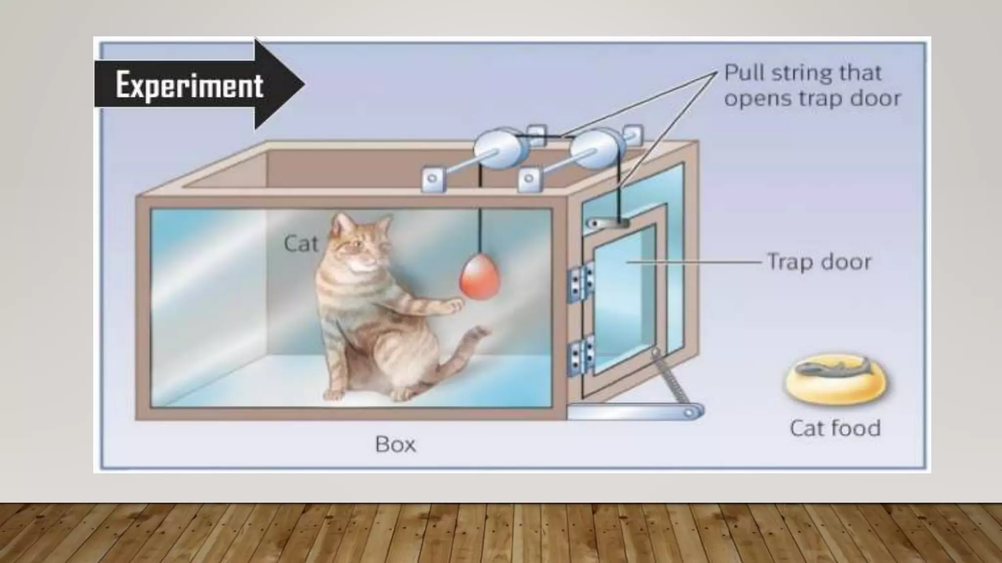 Thorndike's bond theory | PPT