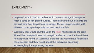 Thorndike's bond theory | PPT