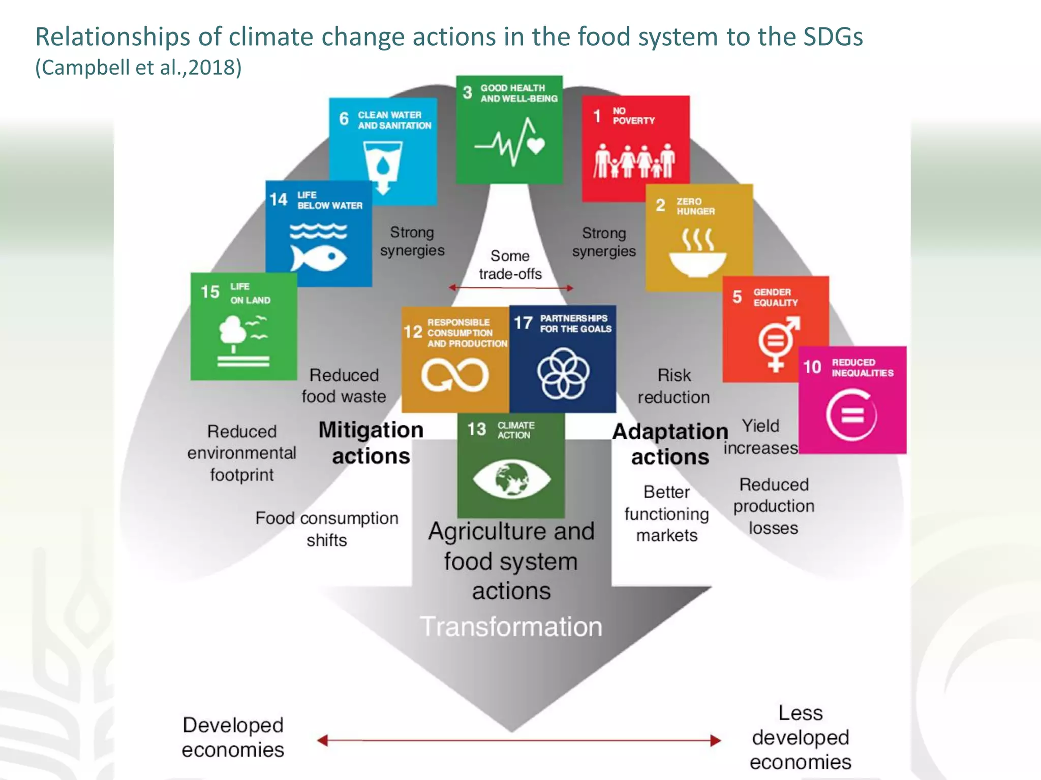 Transforming agri-food systems in lower- and middle-income countries to meet the SDGs | PDF