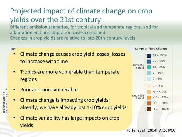 Transforming agri-food systems in lower- and middle-income countries to meet the SDGs | PDF