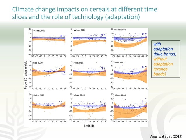Transforming agri-food systems in lower- and middle-income countries to meet the SDGs | PDF