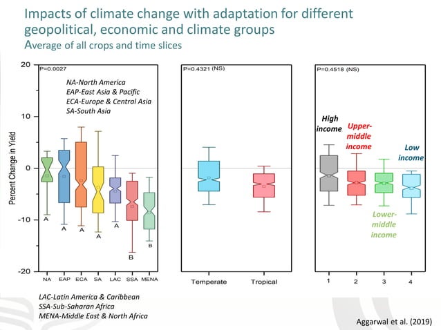 Transforming agri-food systems in lower- and middle-income countries to meet the SDGs | PDF