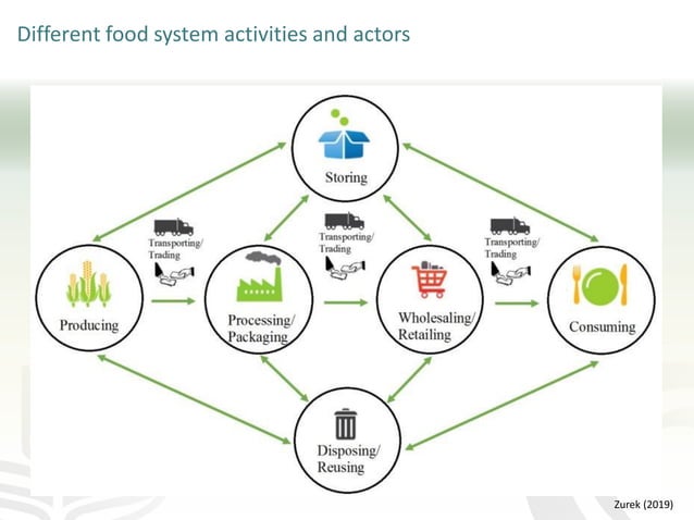 Transforming agri-food systems in lower- and middle-income countries to meet the SDGs | PDF