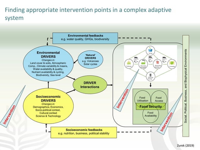 Transforming agri-food systems in lower- and middle-income countries to meet the SDGs | PPT ...