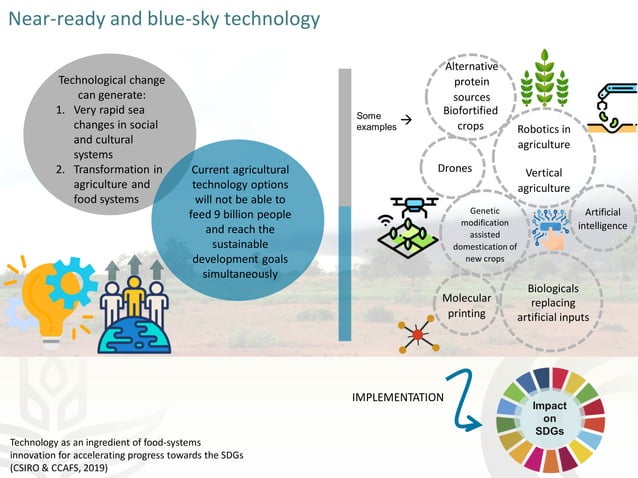 Transforming agri-food systems in lower- and middle-income countries to meet the SDGs | PDF