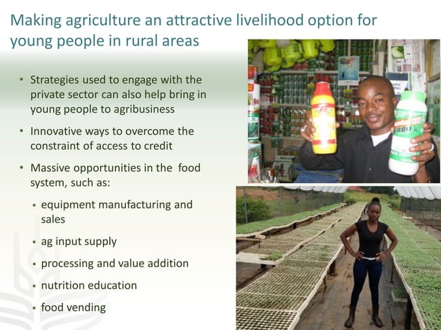 Transforming agri-food systems in lower- and middle-income countries to meet the SDGs | PDF