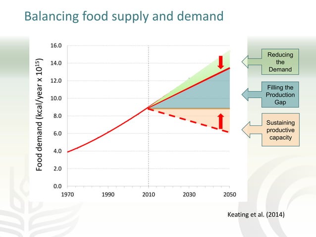 Transforming agri-food systems in lower- and middle-income countries to meet the SDGs | PDF