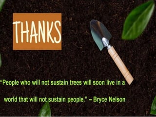Thought of the Day Tree Plantation.pptx